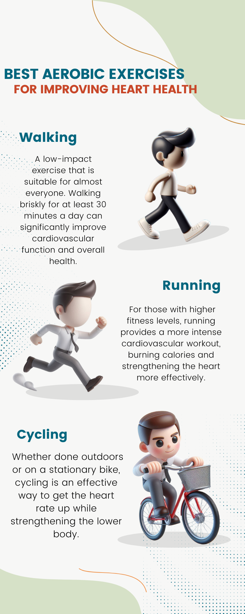 Effects of Aerobic Exercises on the Heart and Circulation ...