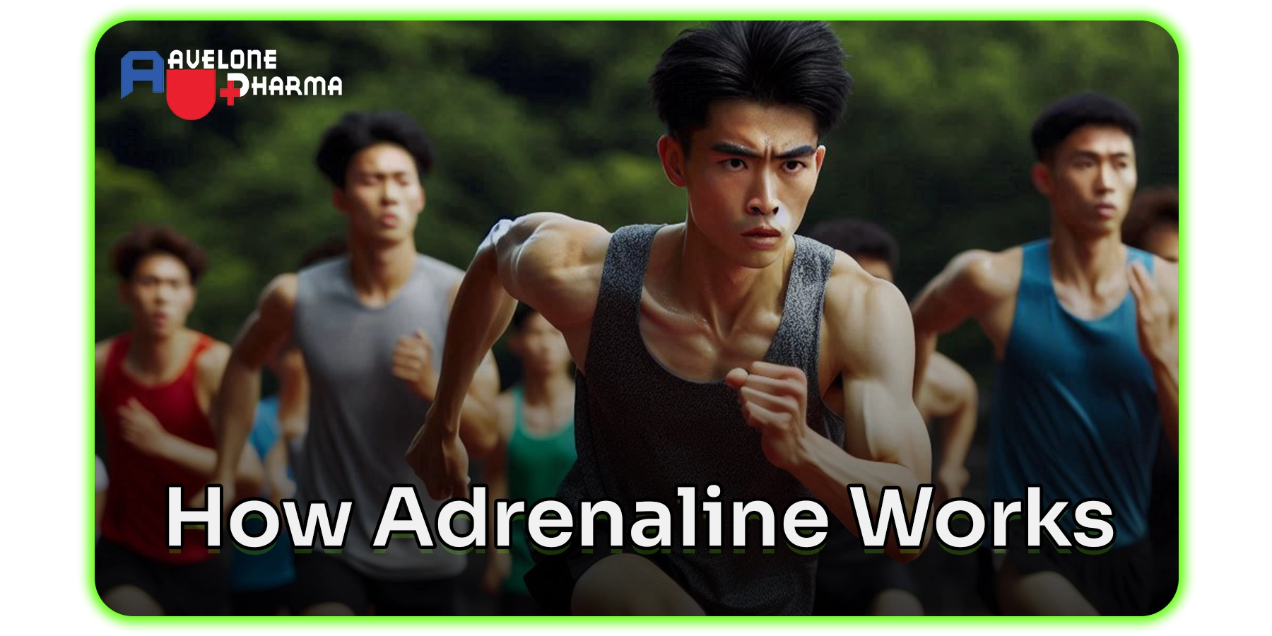 Understanding How Adrenaline Works: The Body’s Natural Alarm